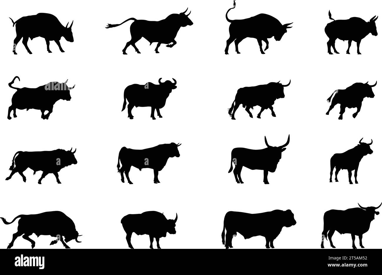 Bull silhouettes, Bull silhouette set, Bull vector illustration Stock ...