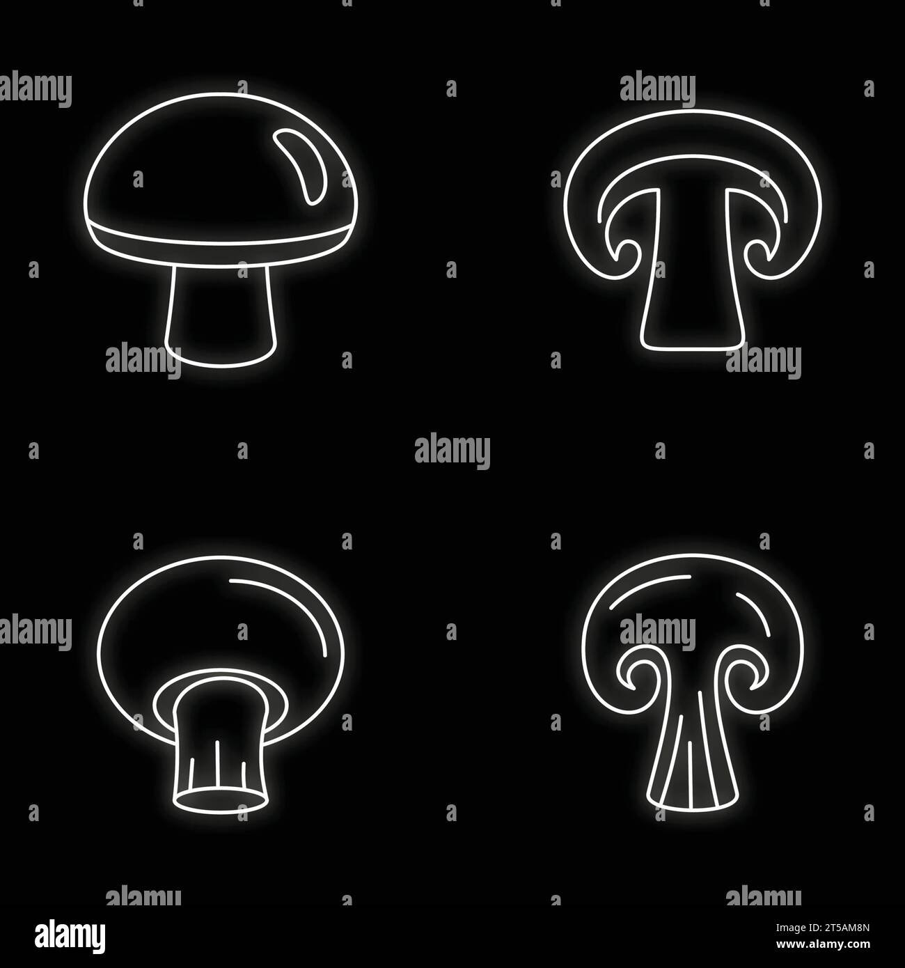 Champignon mushroom icons set. Outline illustration of 4 champignon ...
