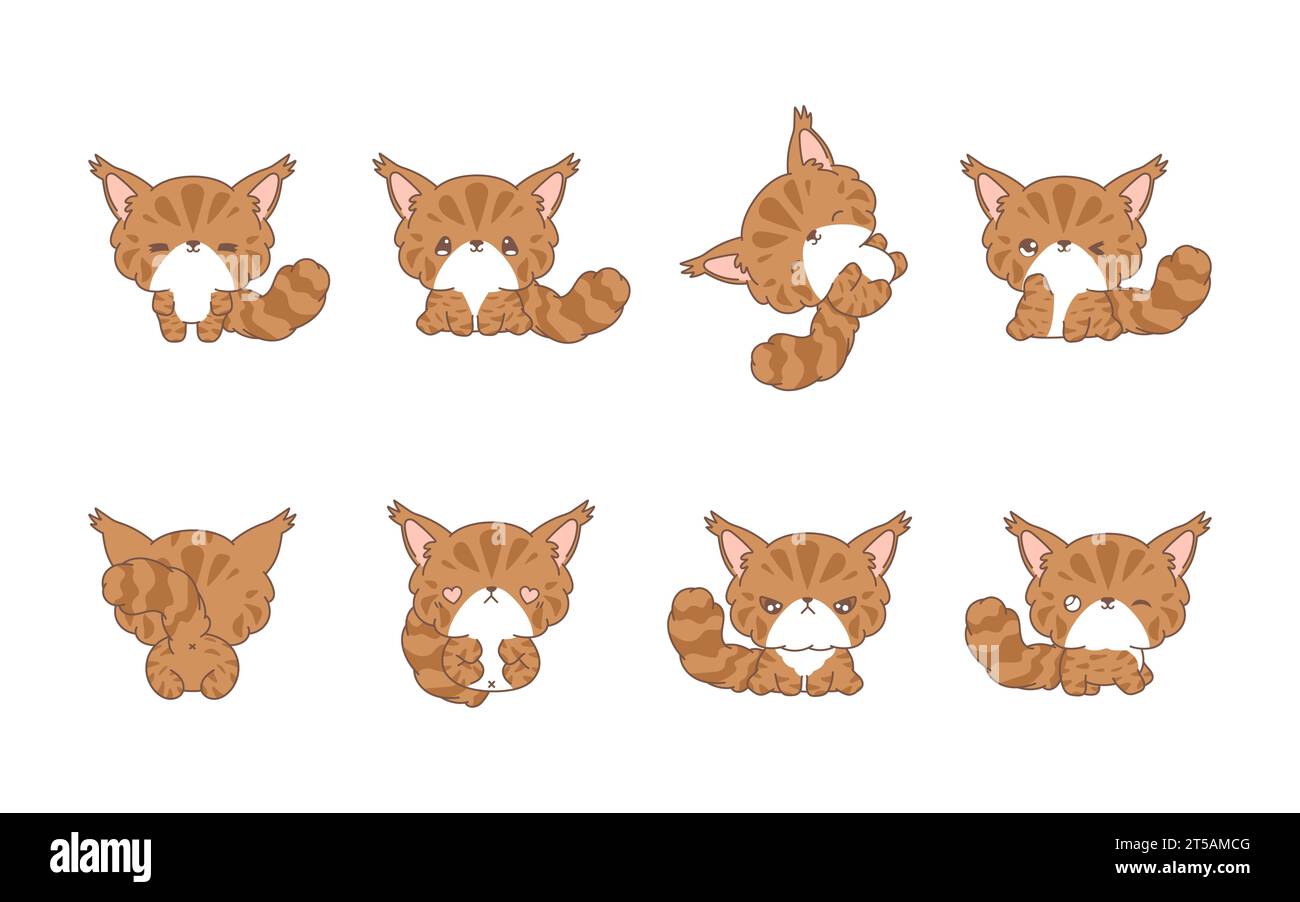 Collection of Vector Cartoon Maine Coon Cat Art. Set of Kawaii Isolated ...