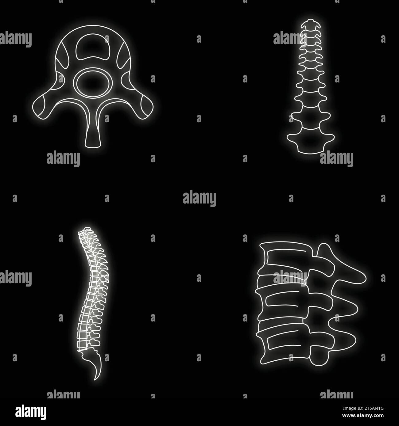 Spine orthopedic vertebra icons set. Outline illustration of 4 spine ...
