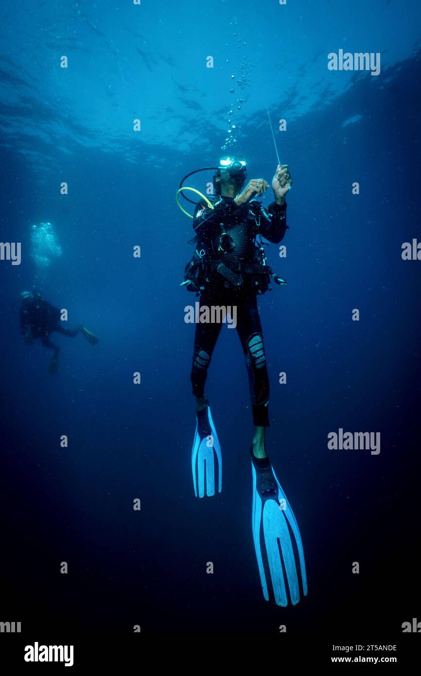 Nosy be marine life hi-res stock photography and images - Alamy