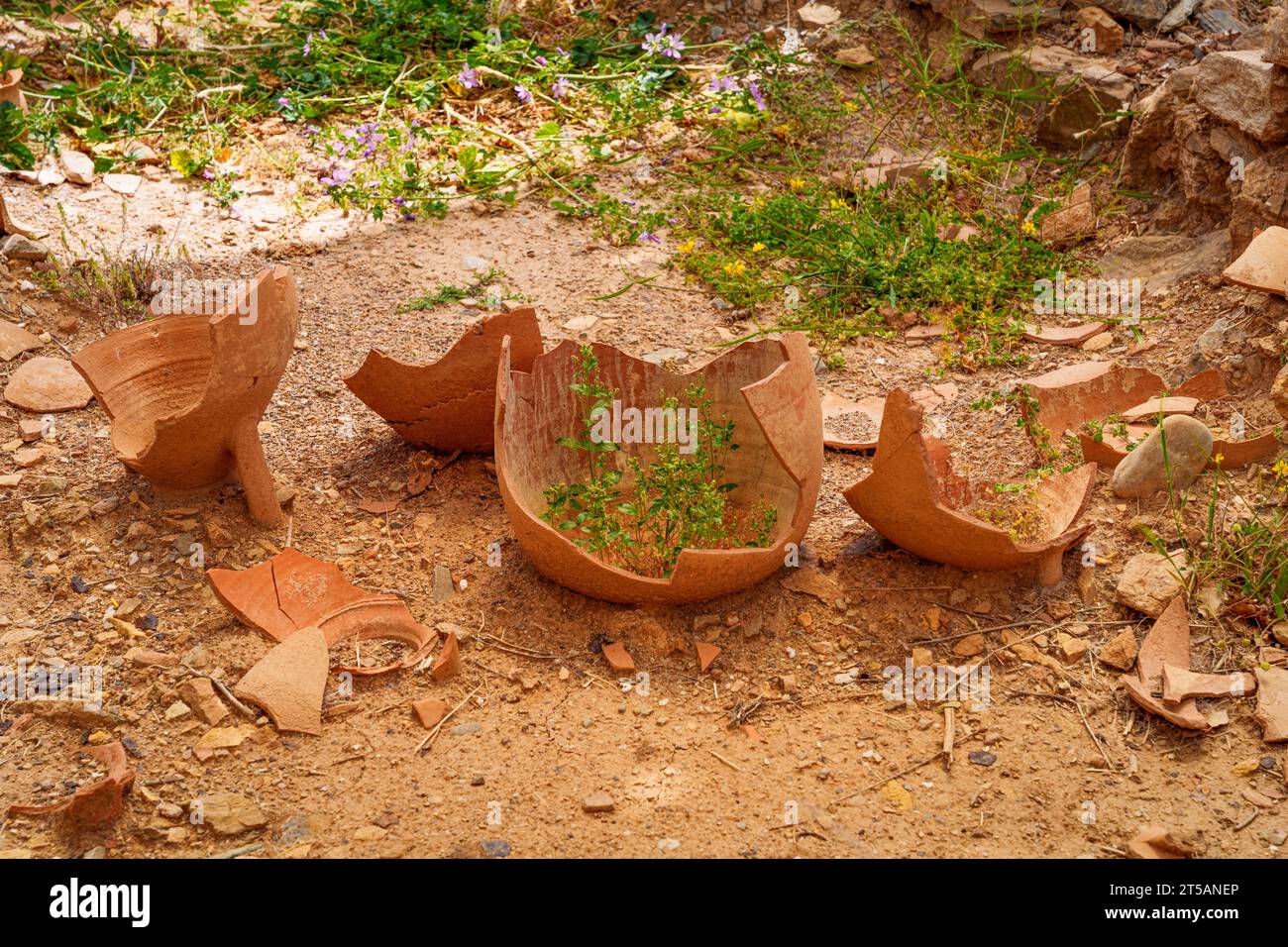 Greek ancient amphora broken hi-res stock photography and images - Alamy