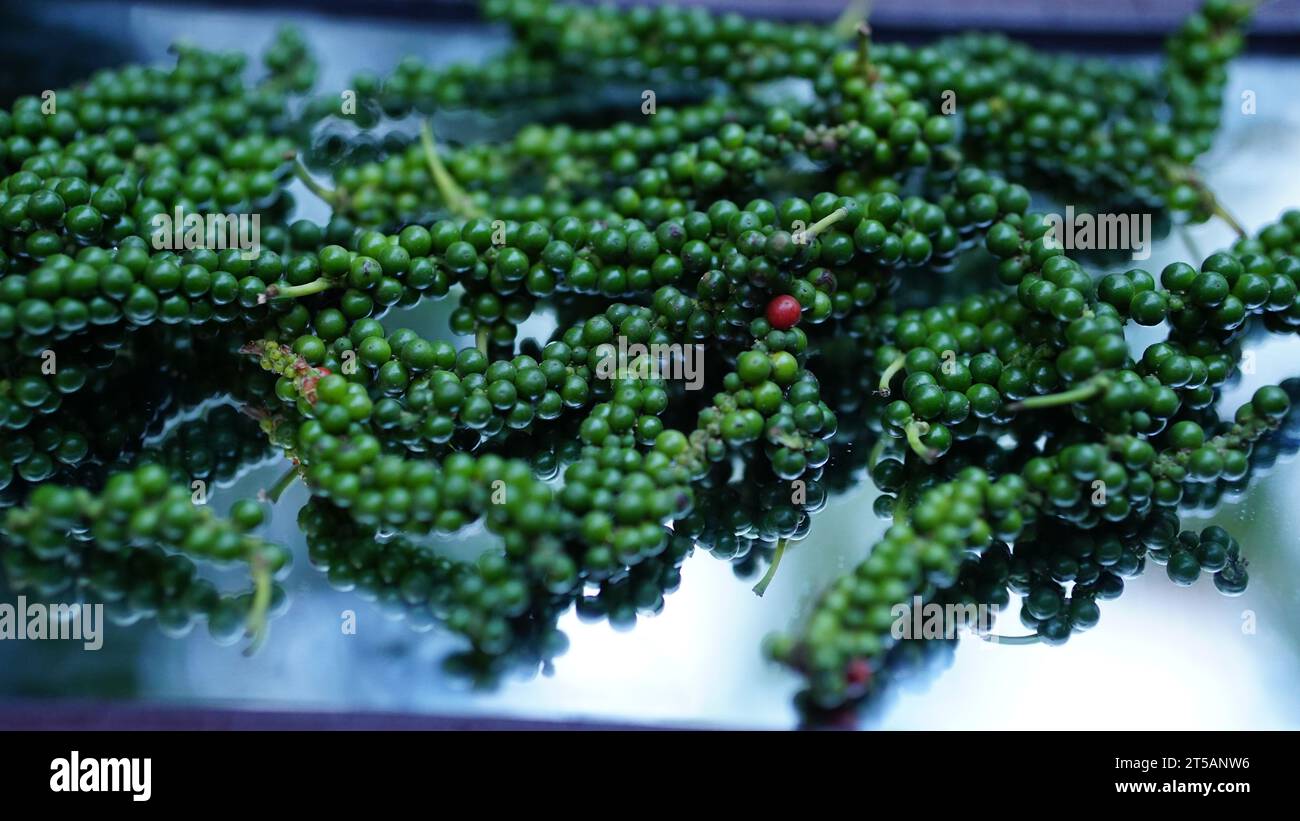 Pepper - Small but mighty —black pepper adds the perfect kick to every ...