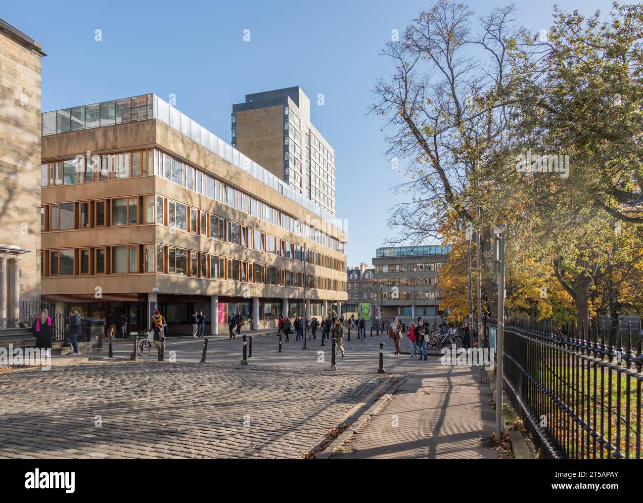 50 page hi-res stock photography and images - Alamy