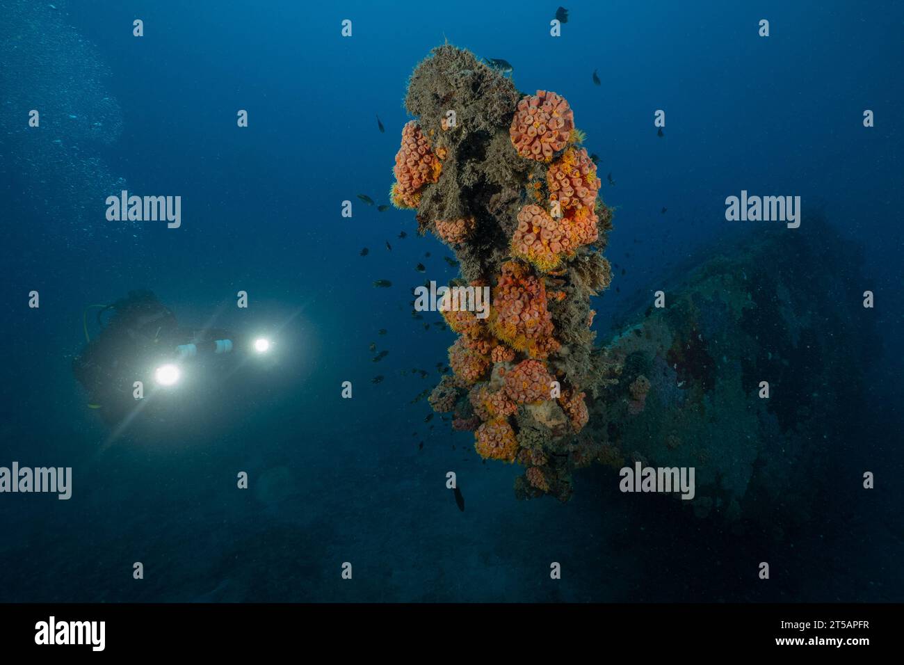 scubadiving Indian Ocean Nosy Be Madagascar Stock Photo - Alamy