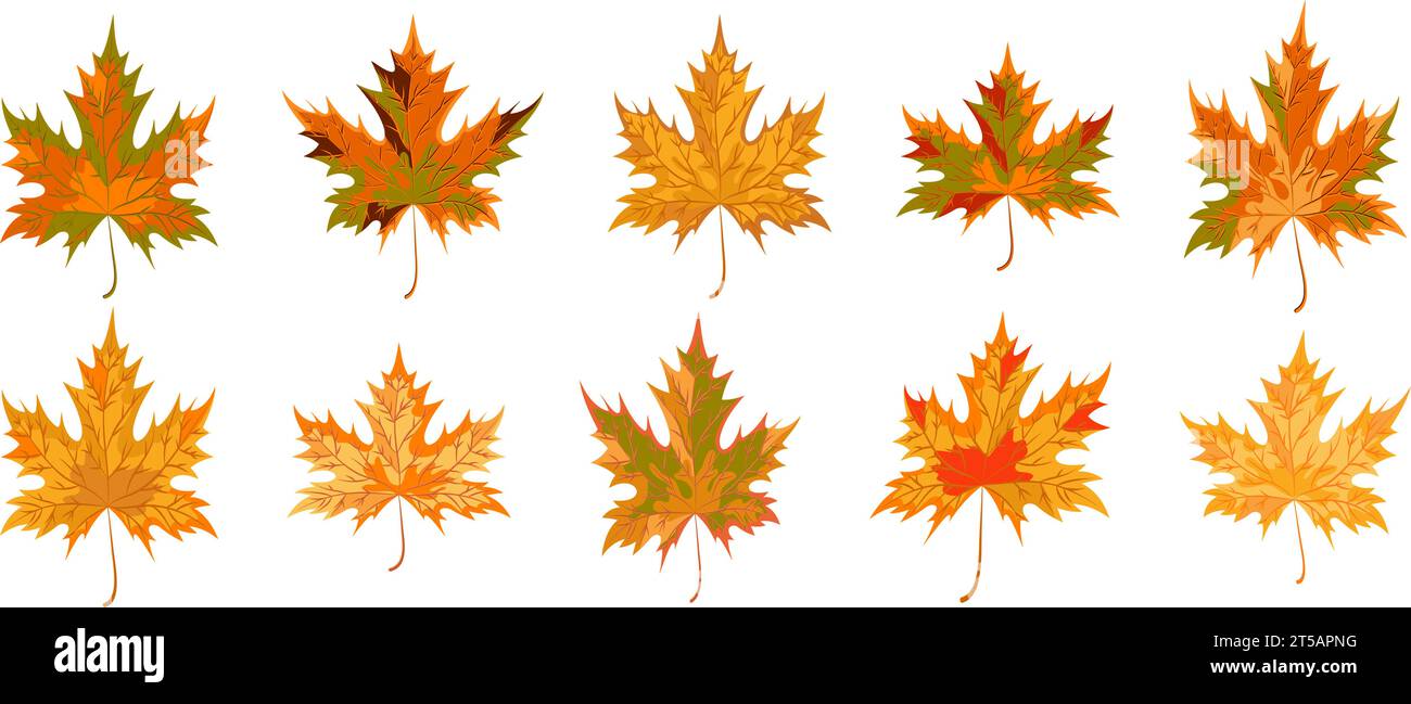 V shape tree Stock Vector Images - Alamy