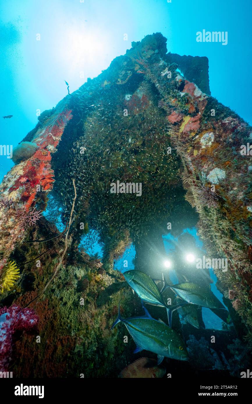 scubadiving Indian Ocean Nosy Be Madagascar Stock Photo - Alamy