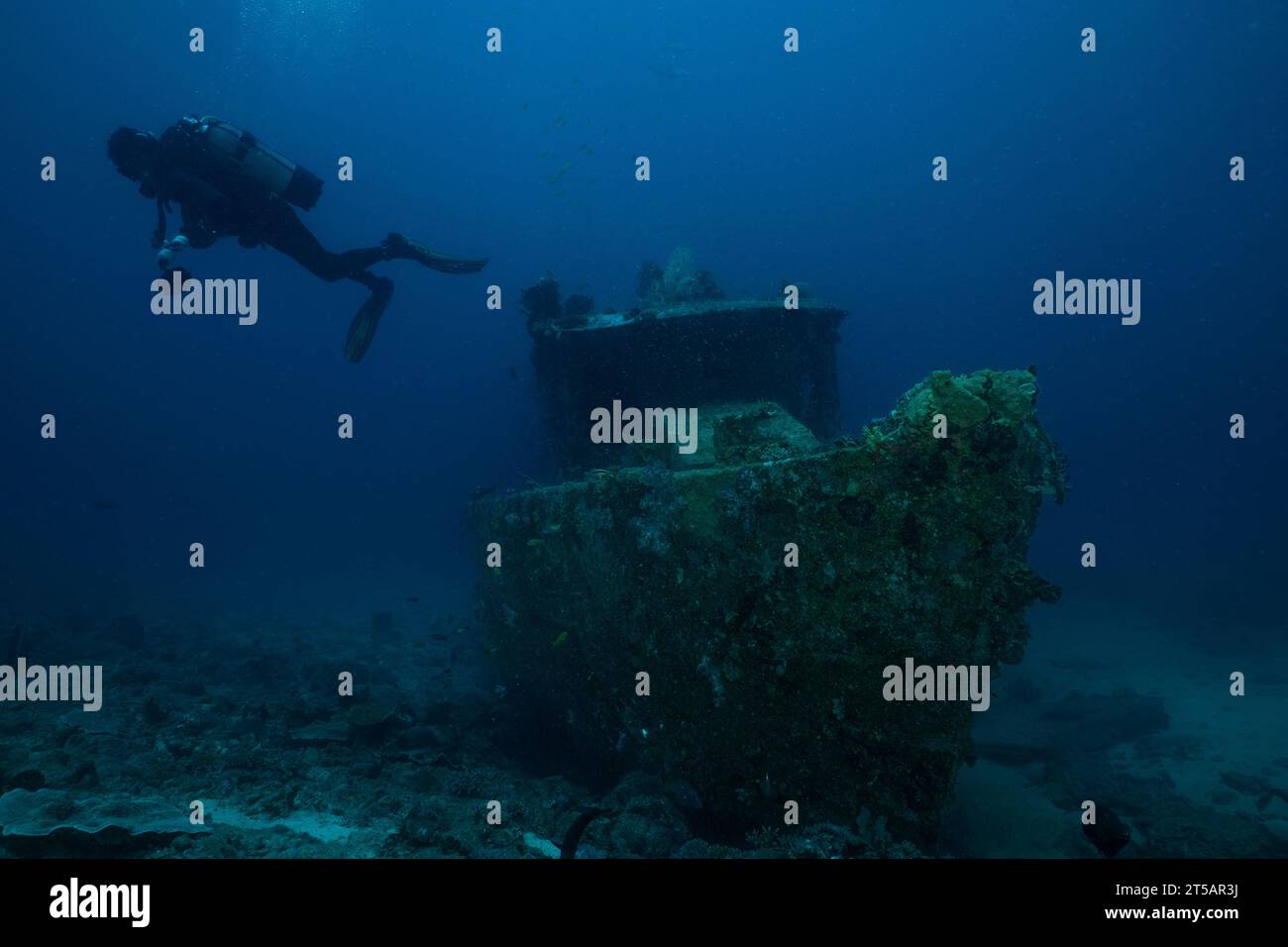 scubadiving Indian Ocean Nosy Be Madagascar Stock Photo - Alamy