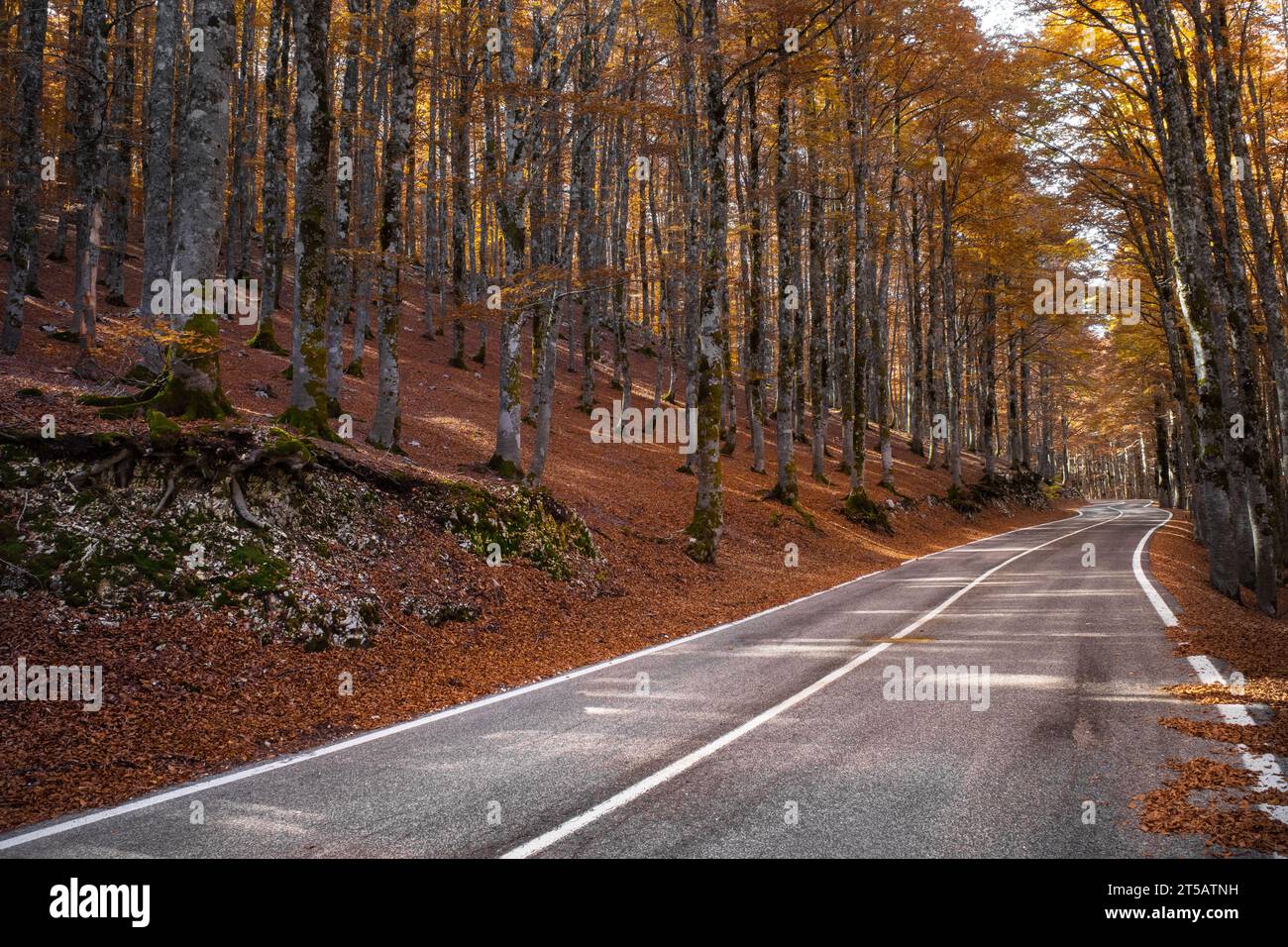 Forca d'Acero, Pescasseroli, Abruzzo, Italia Stock Photo - Alamy