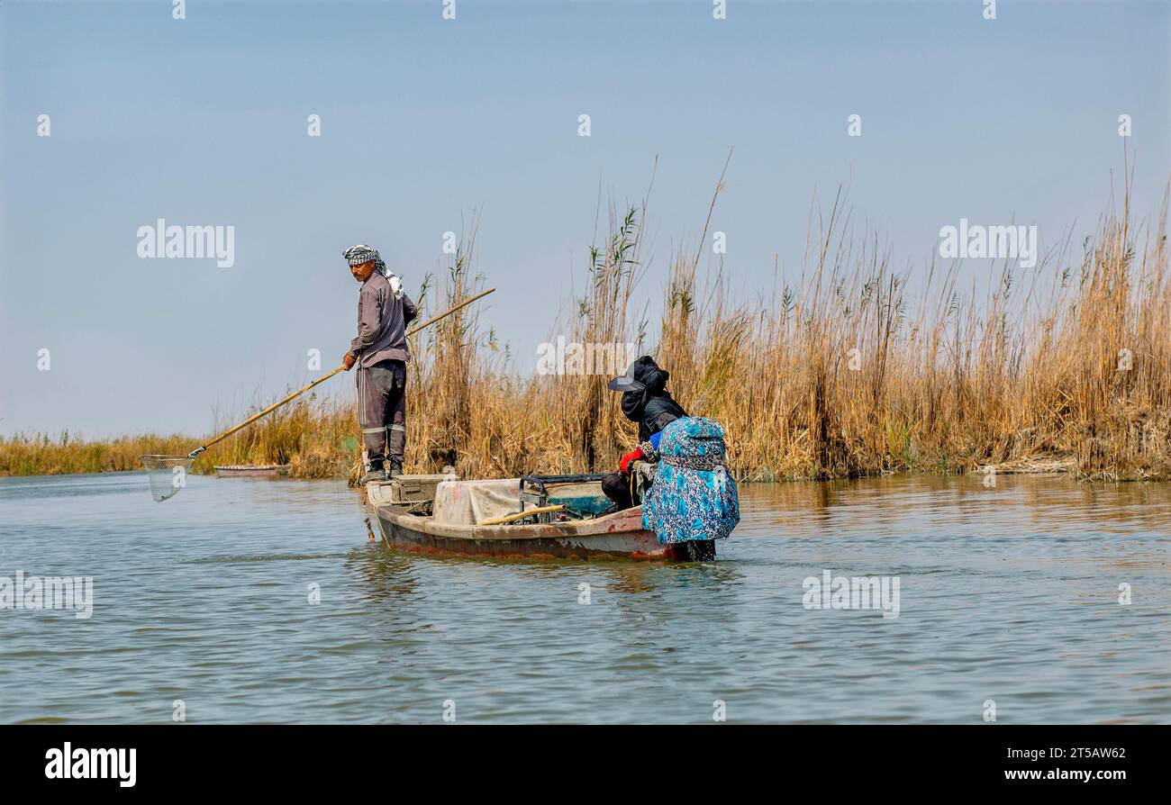 Chibayish marshes in Iraq Stock Photo - Alamy