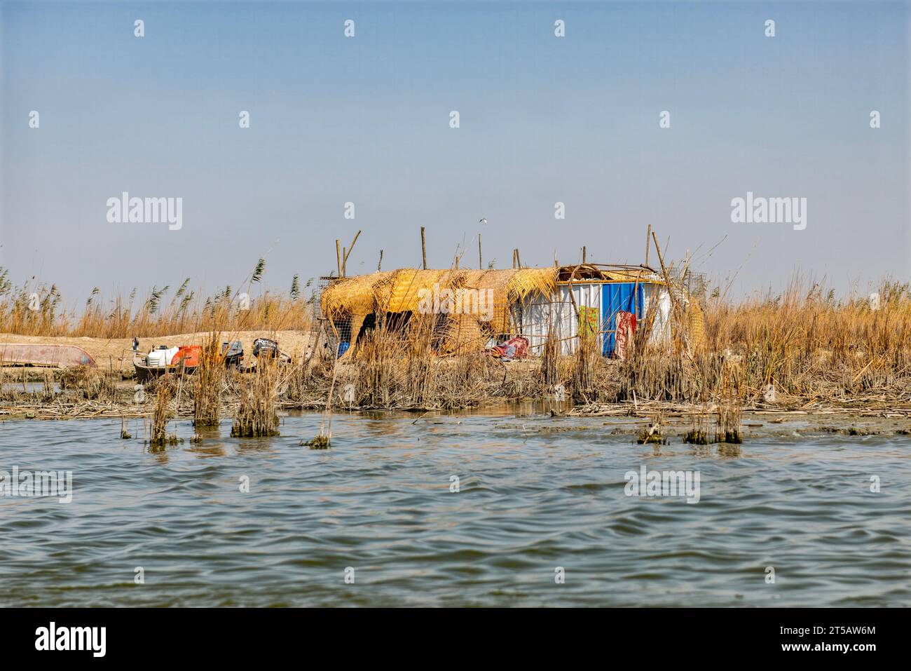 Chibayish marshes in Iraq Stock Photo - Alamy