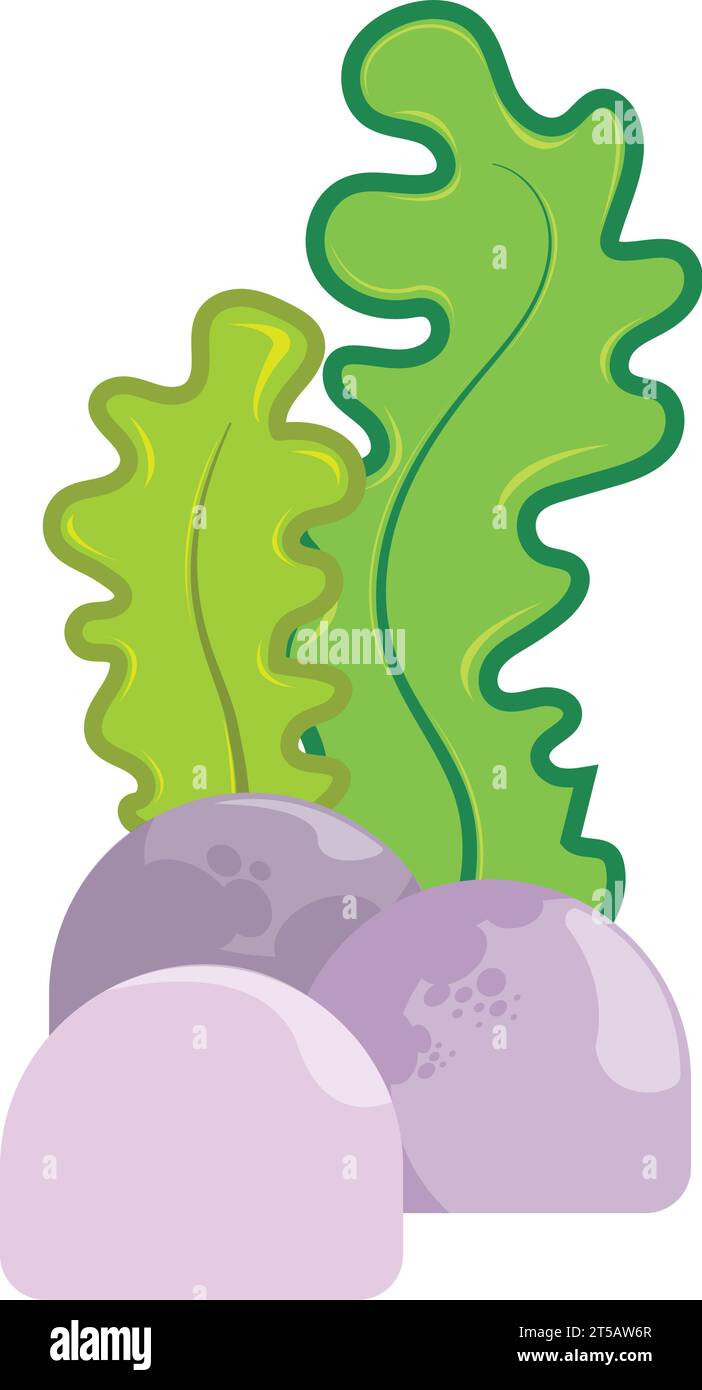 Isolated colored seaweed sketch icon Vector Stock Vector Image & Art ... Isolated colored seaweed sketch icon Vector Stock Vector Image & Art ...