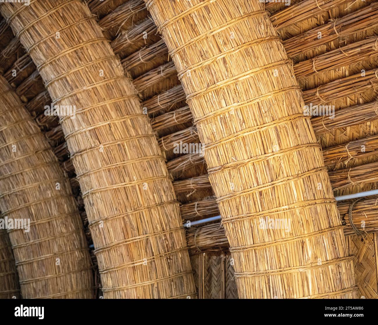 Chibayish marshes in Iraq Stock Photo - Alamy