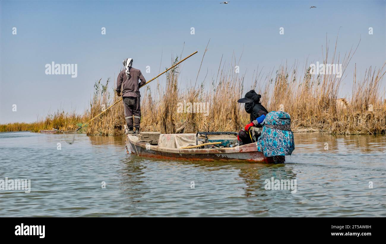 Chibayish marshes in Iraq Stock Photo - Alamy