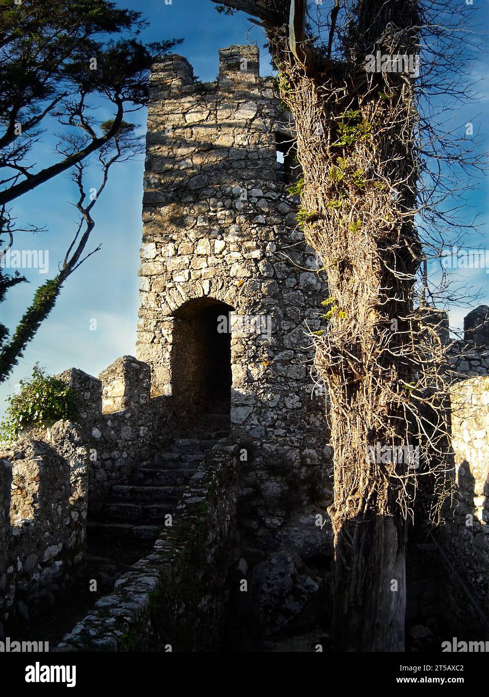 Medieval Castelo dos Mouros aka Castle of the Moors in Sintra, Portugal ...