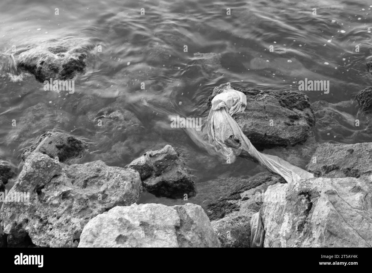 Irresponsible Black and White Stock Photos & Images - Alamy