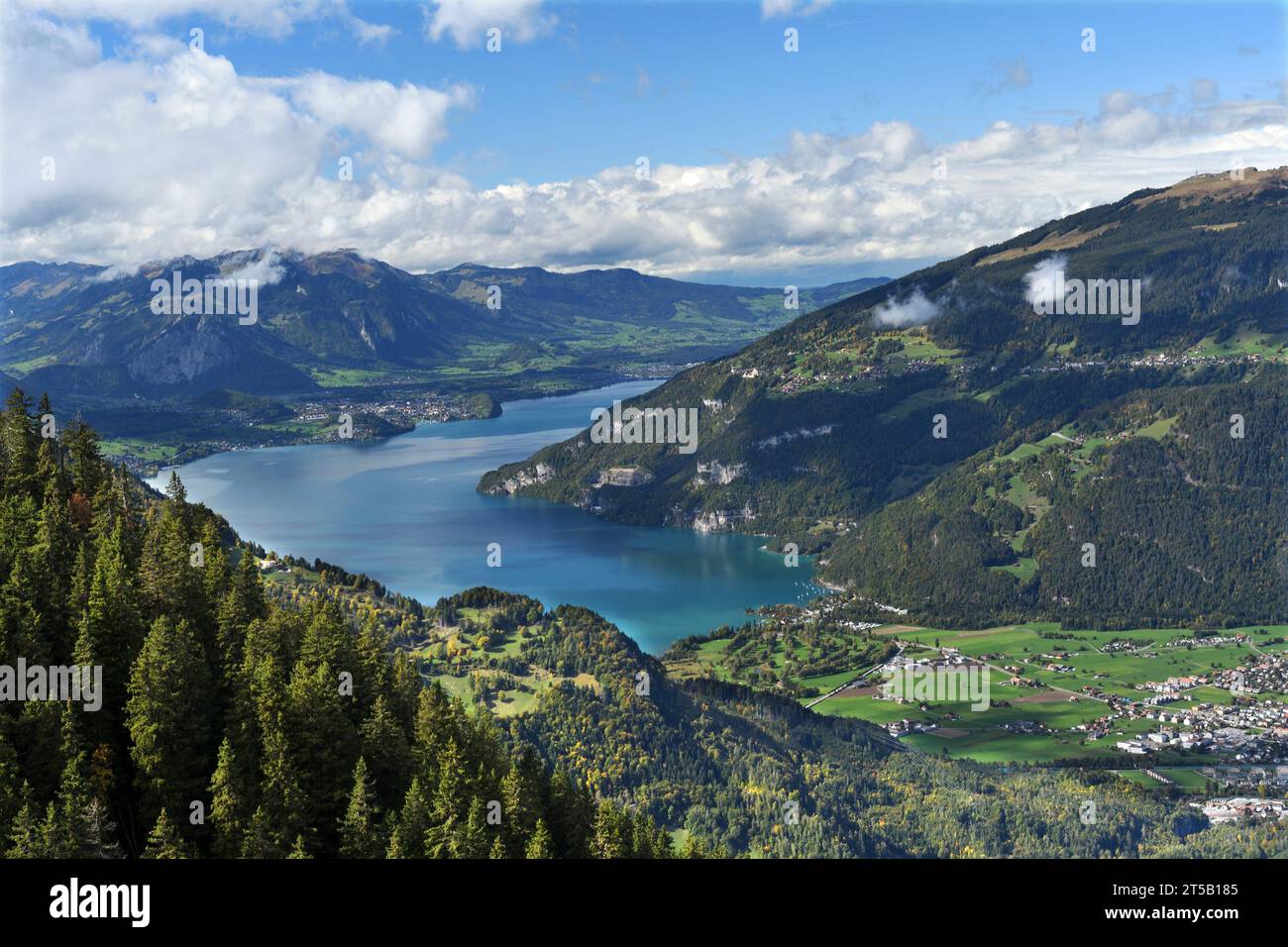 view of lake thun from schynige platte;alps;switzerland Stock Photo - Alamy