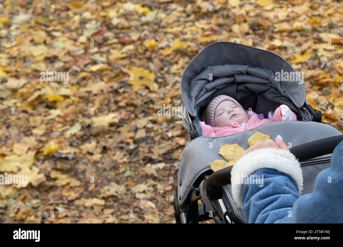 Cute baby girl sleeping in a stroller in the autumn park Stock Photo ...