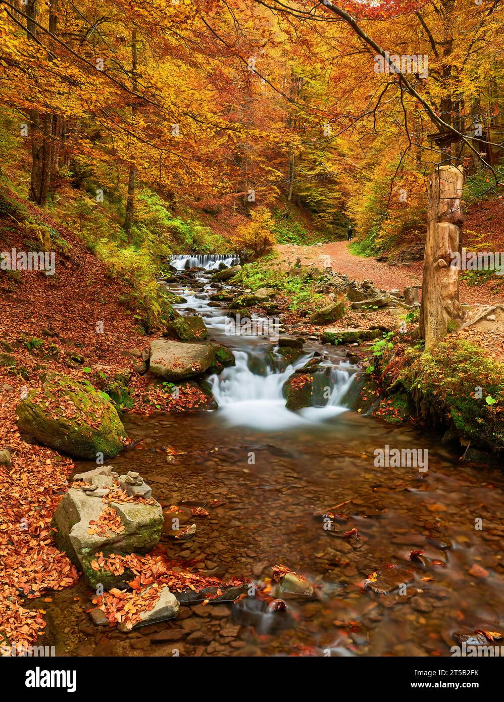 A majestic autumn river gracefully winds its way through a picturesque ...