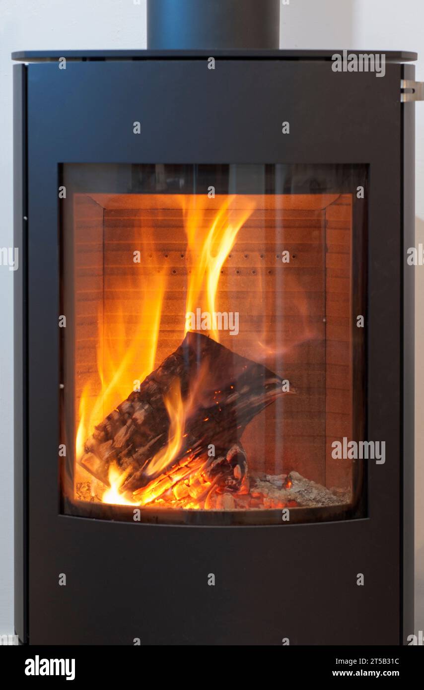 Rais Wood Burning Stove with Secondary burn and Large Log Burning with ...