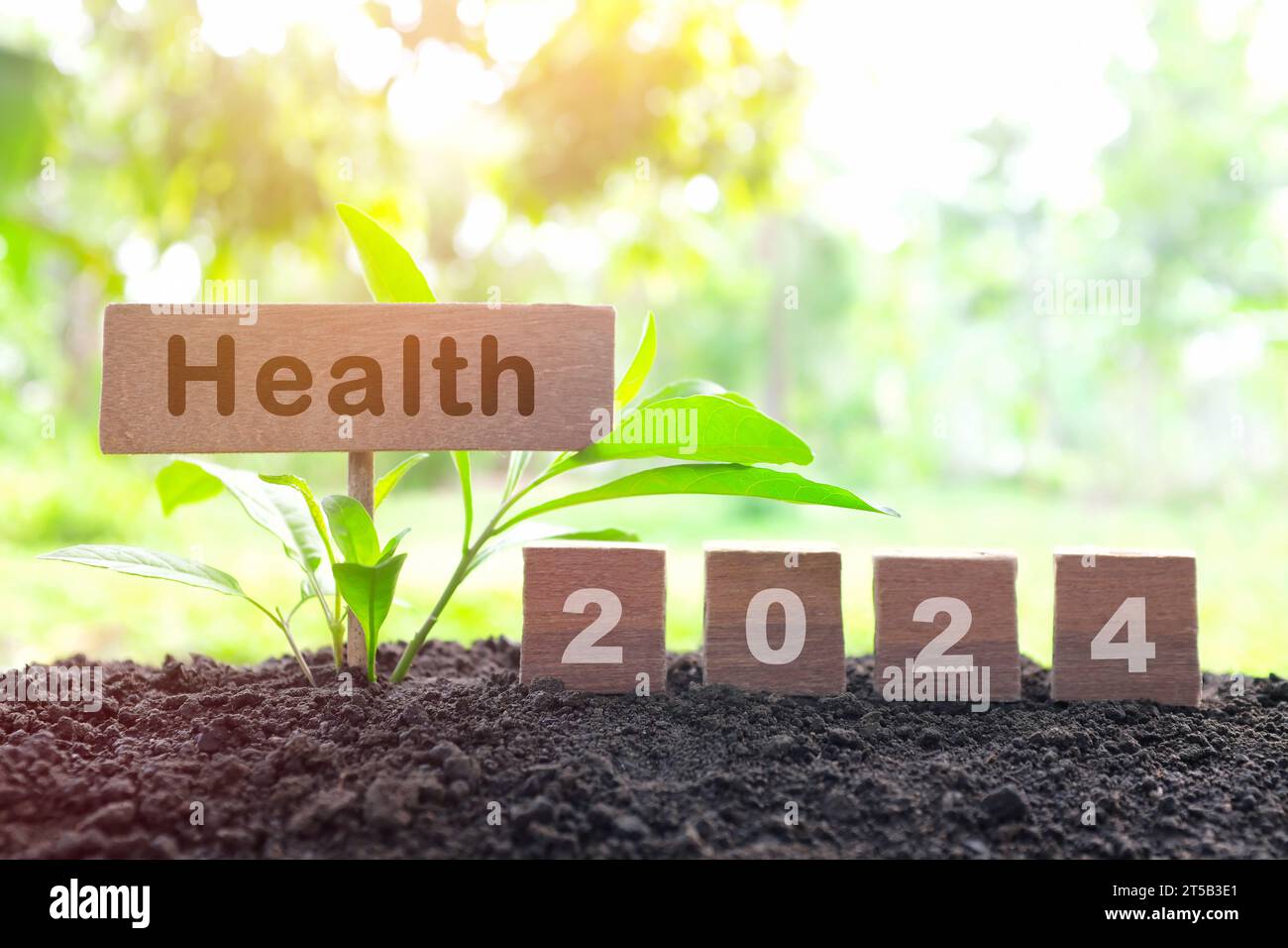New year 2024 health as priority concept. Wooden blocks on a natural ...