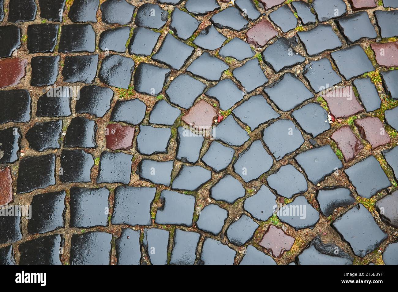 texture wet stone pavers in the old town, wet stone paving stone tiles ...