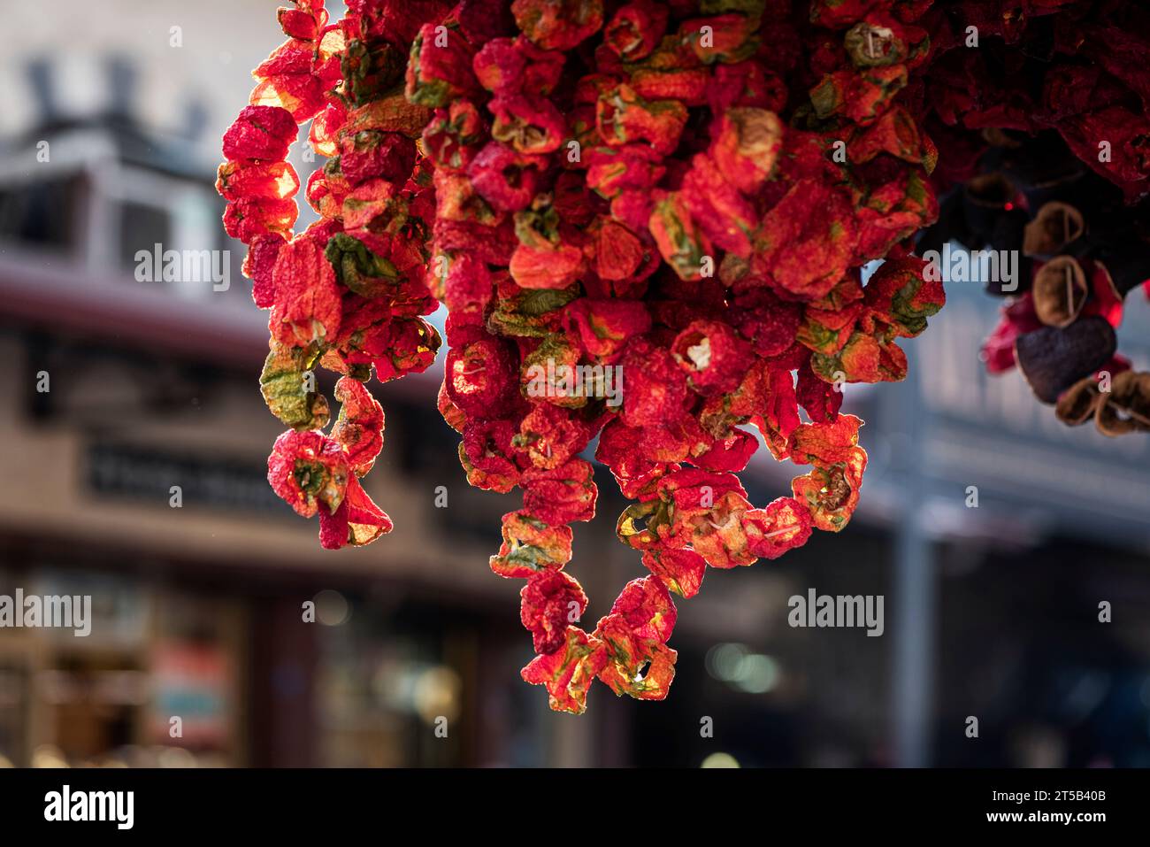 Traditional red dried peppers hanged on a market stall, close up ...