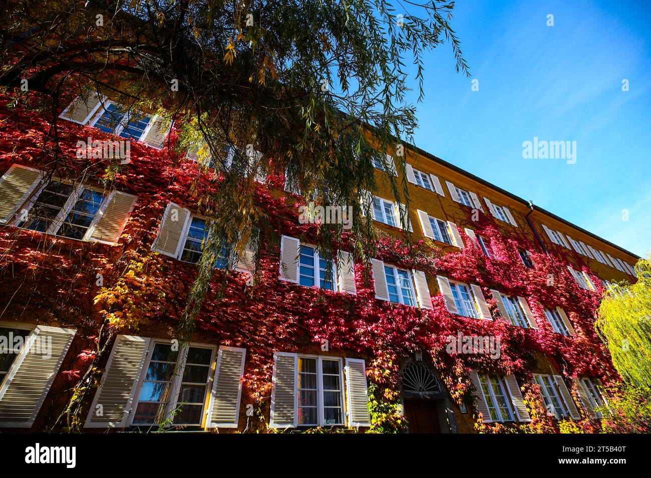 he Borstei is a listed residential area in the Moosach district of ...