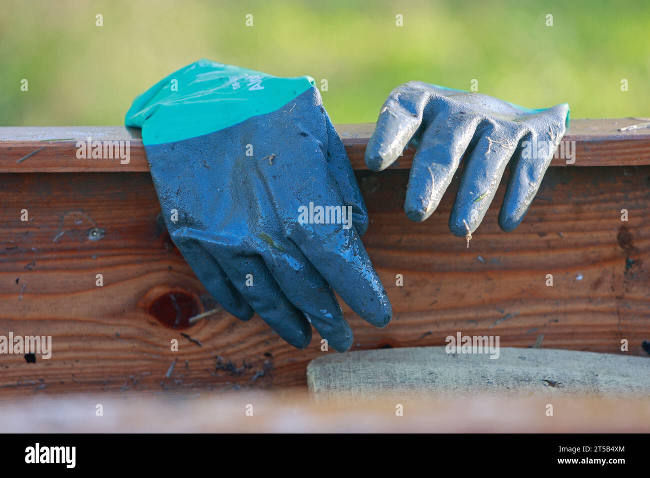 Fish sorting table hi-res stock photography and images - Alamy