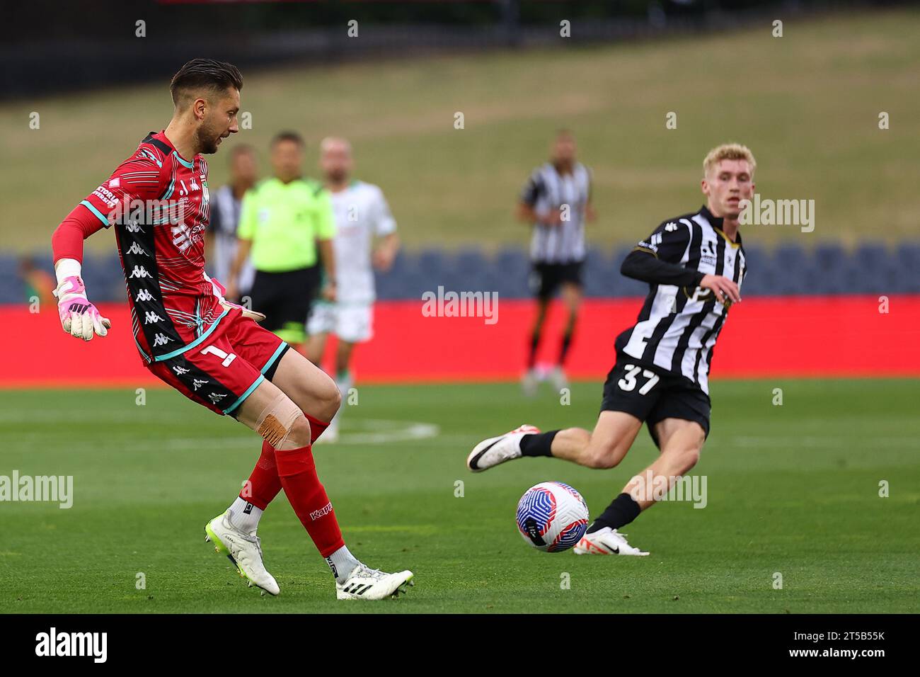 4th November 2023; Campbelltown Stadium, Sydney, NSW, Australia: A ...