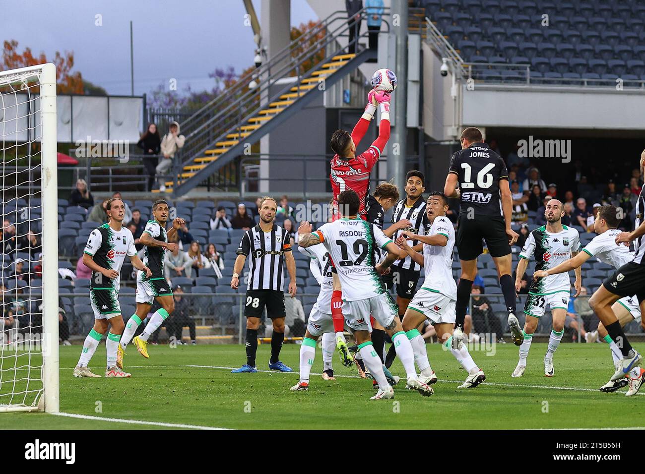 4th November 2023; Campbelltown Stadium, Sydney, NSW, Australia: A ...