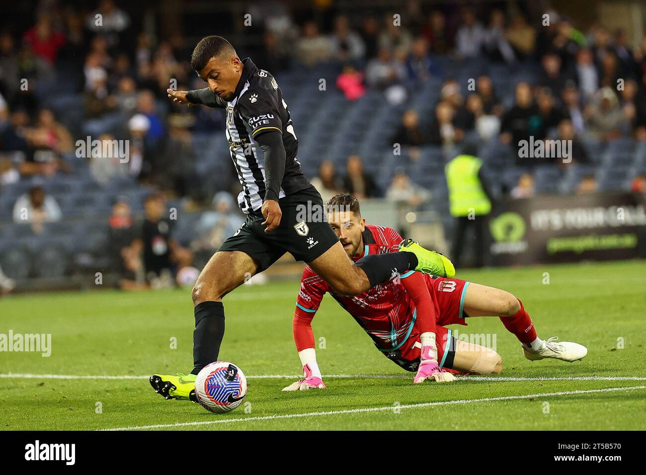 4th November 2023; Campbelltown Stadium, Sydney, NSW, Australia: A ...