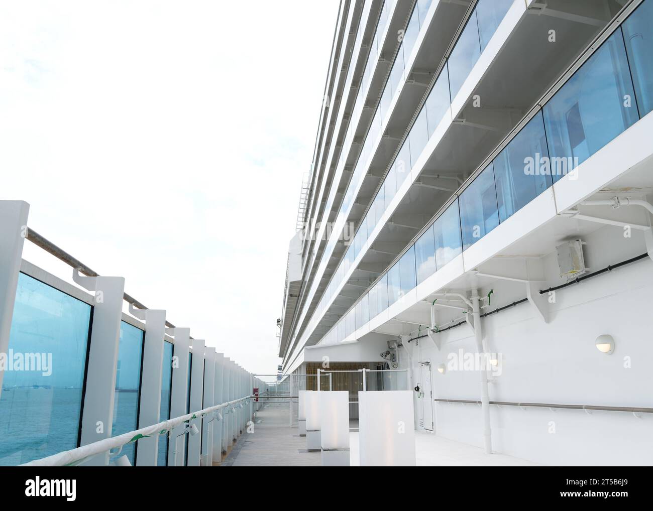 (231104) -- SHANGHAI, Nov. 4, 2023 (Xinhua) -- This photo taken on Nov. 4, 2023 shows the ...