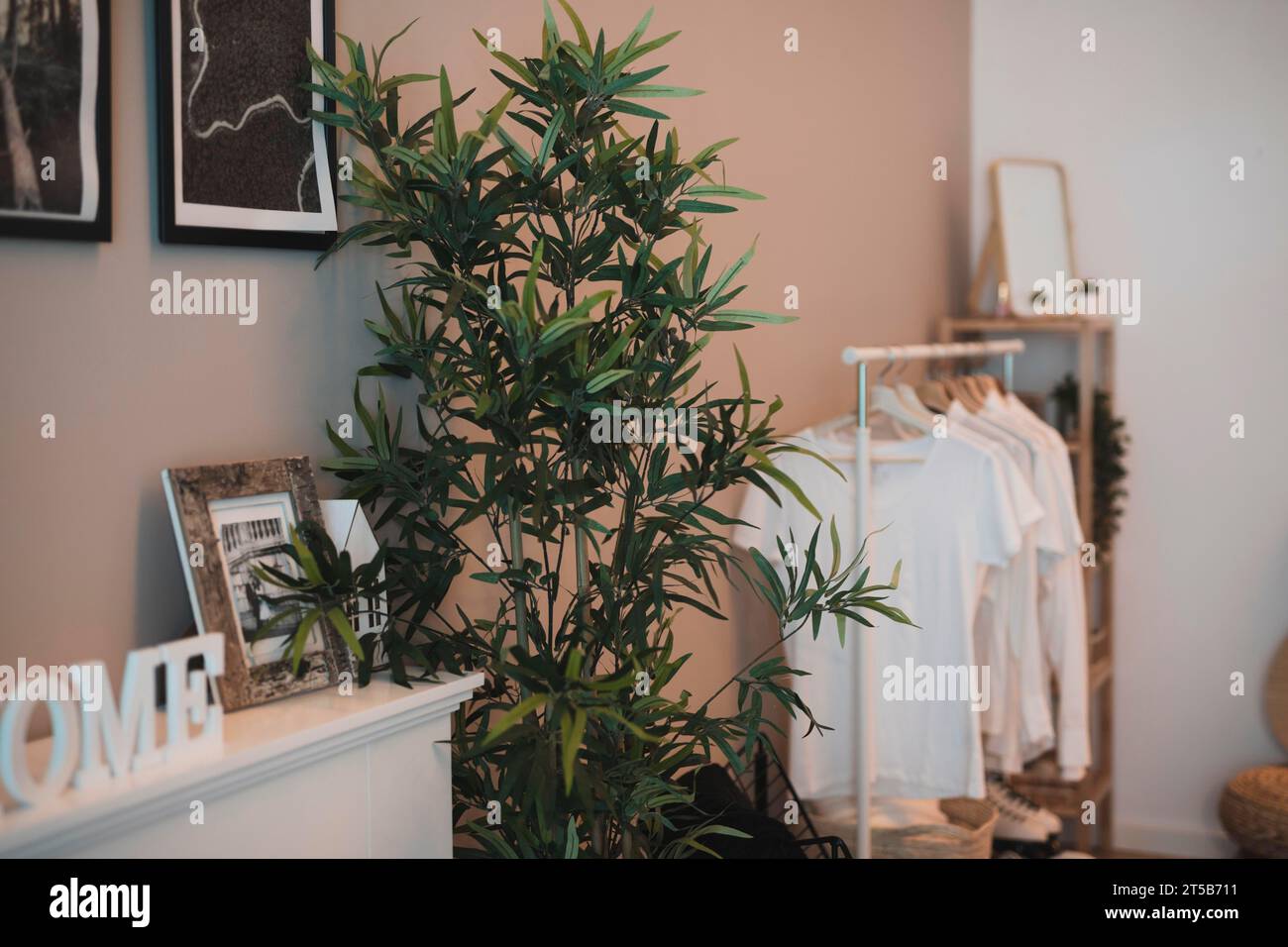 Corner room whit simple wardrobe plant Stock Photo - Alamy
