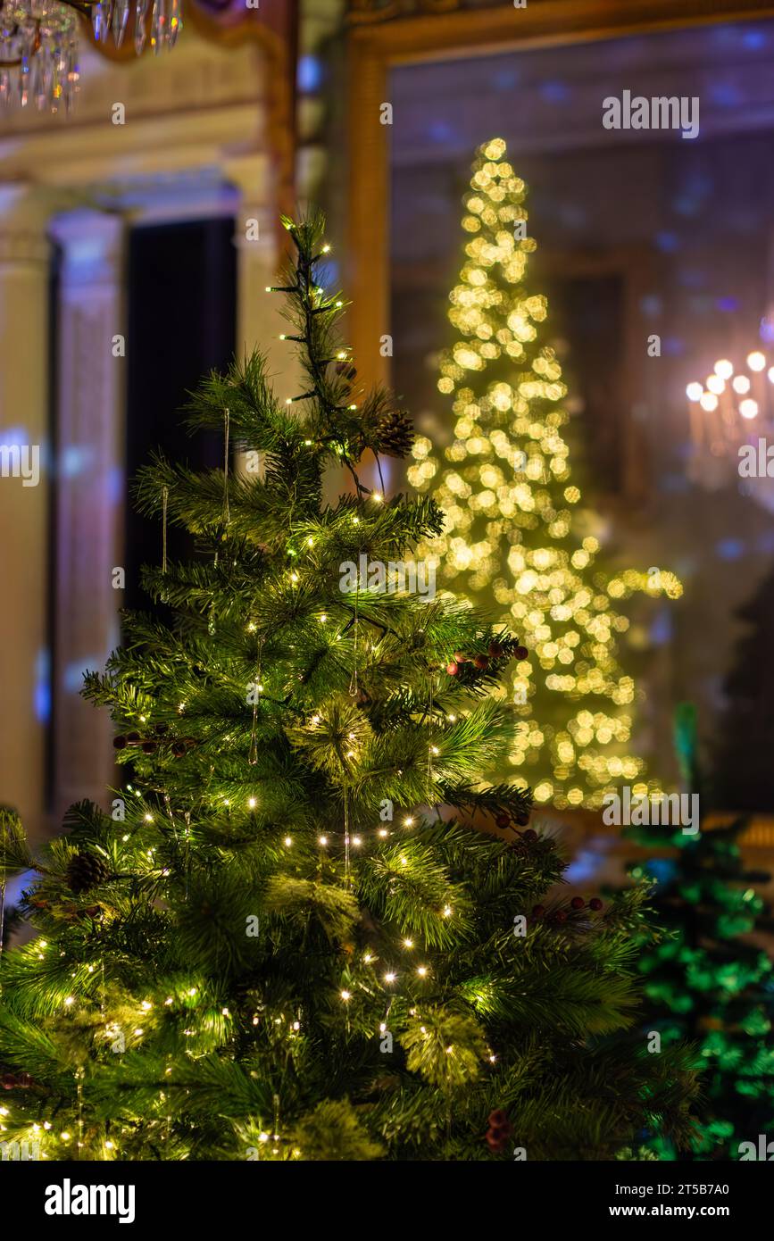 Stately home christmas tree hi-res stock photography and images - Alamy