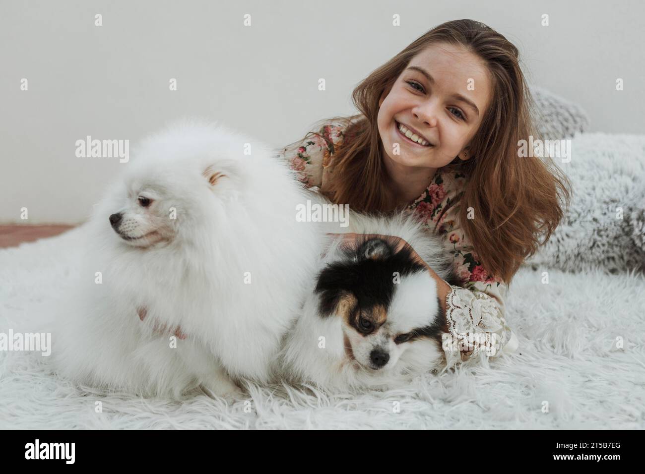 Twins girl dog hi-res stock photography and images - Alamy