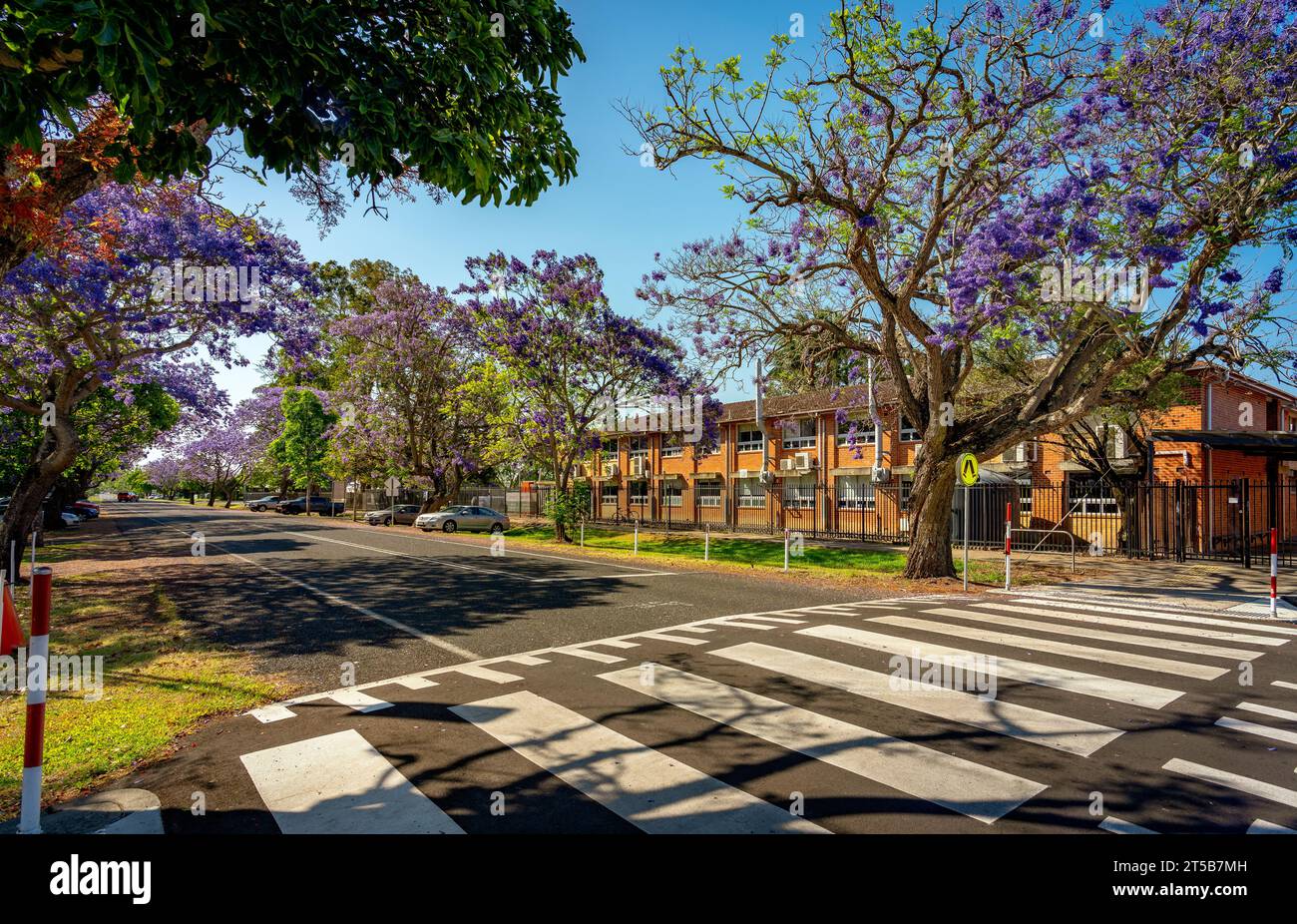 Nsw school hi-res stock photography and images - Alamy