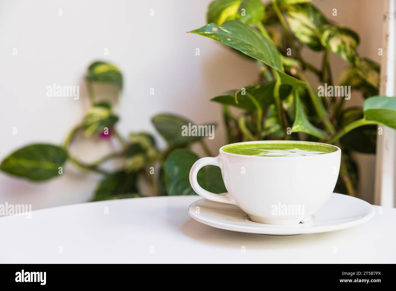 Hot matcha green tea cup saucer white table Stock Photo - Alamy