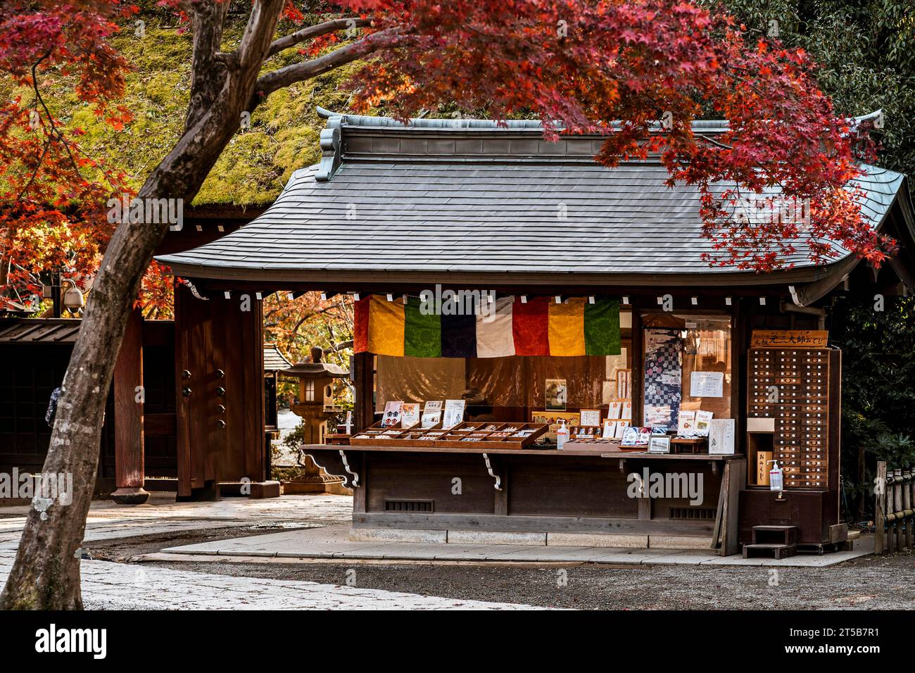 Japanese temple with leaning tree Stock Photo - Alamy