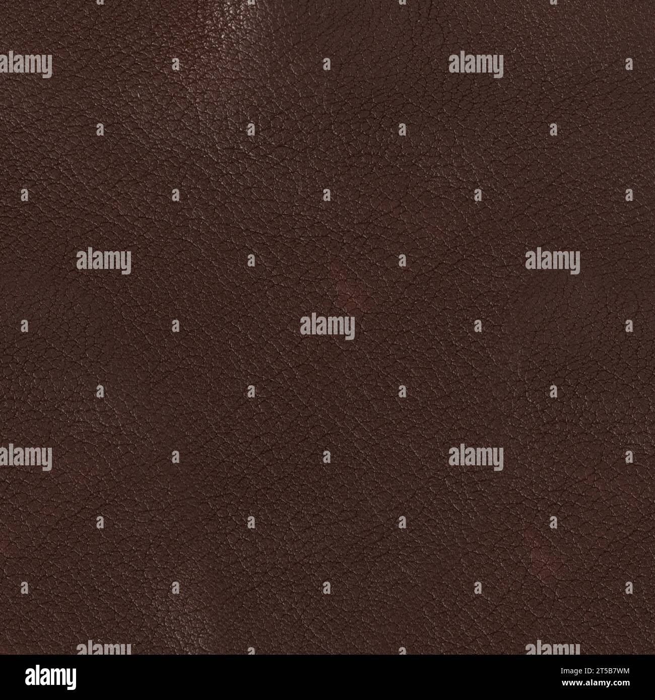 Pebble grain leather hi-res stock photography and images - Alamy