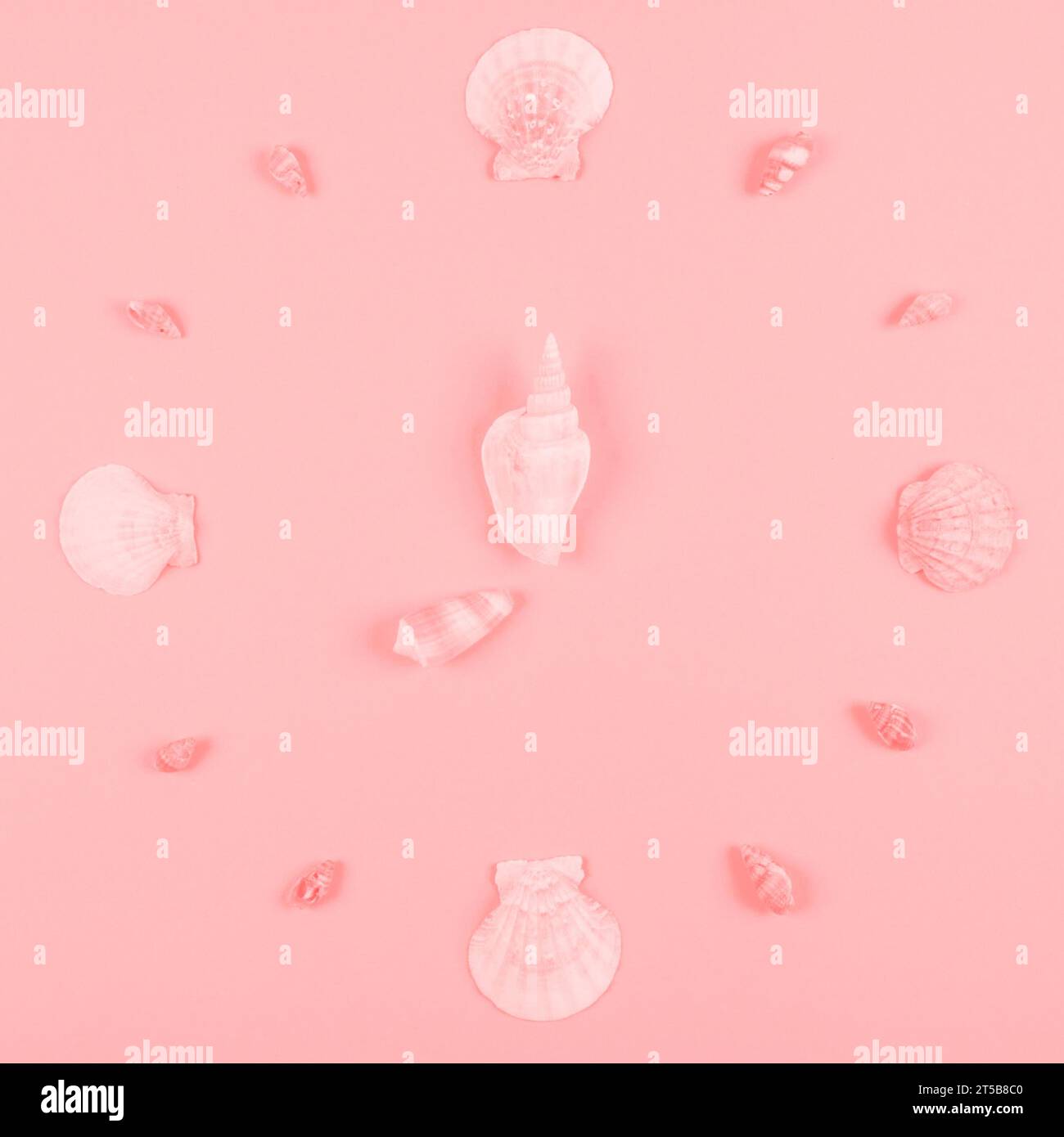 Seashells decoration pink background Stock Photo - Alamy