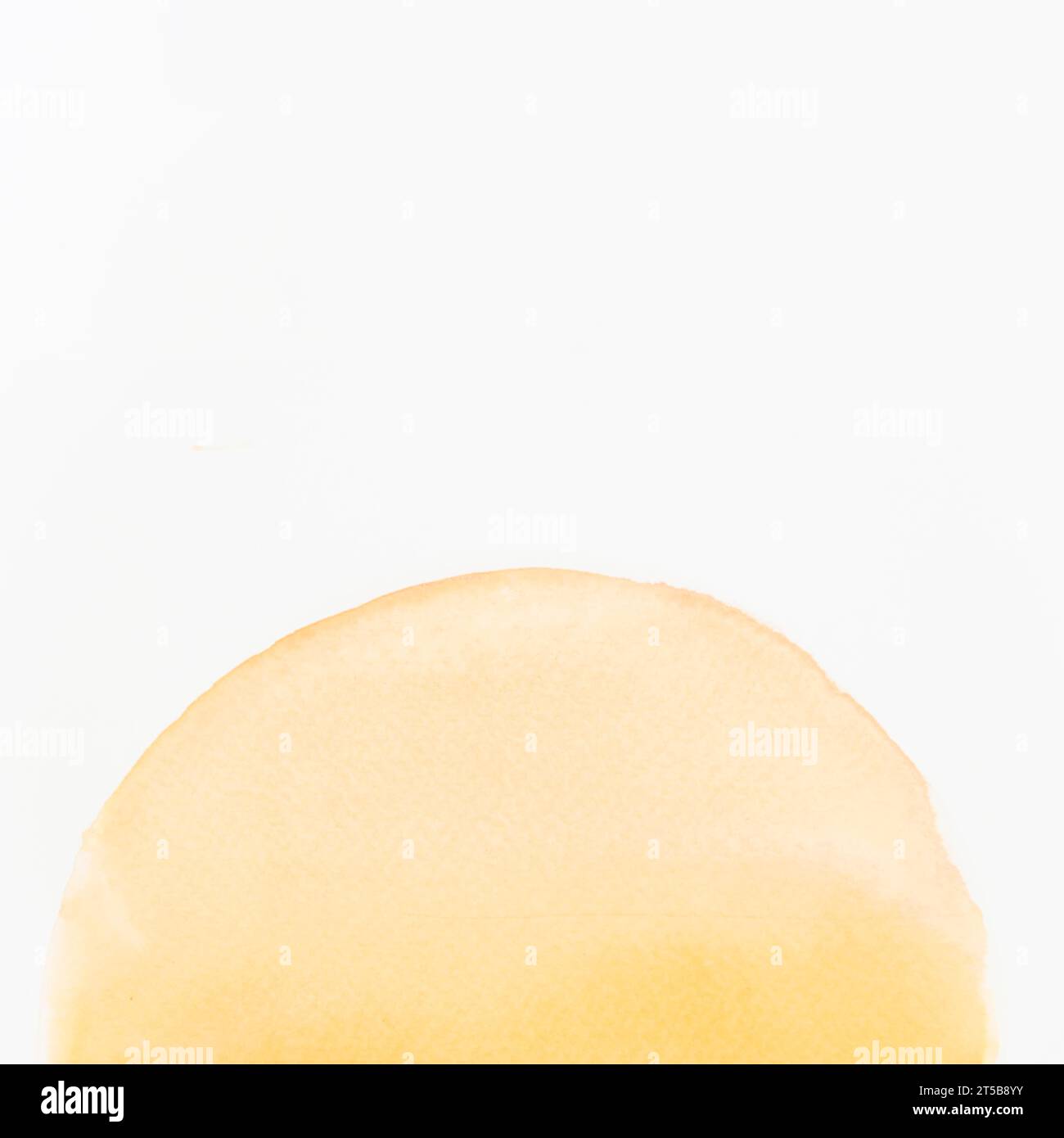 Watercolor hand painted semi circle shape design elements white ...