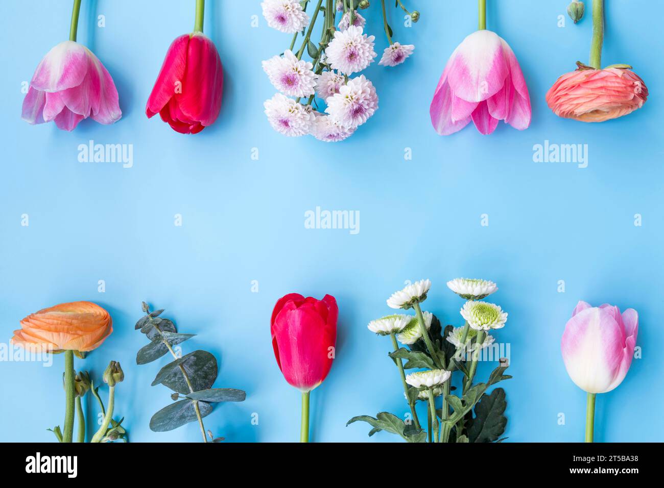 Sprigs of lily hi-res stock photography and images - Alamy