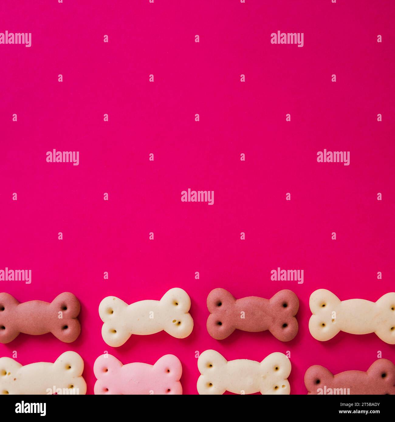 Funny dog snacks colorful background Stock Photo - Alamy