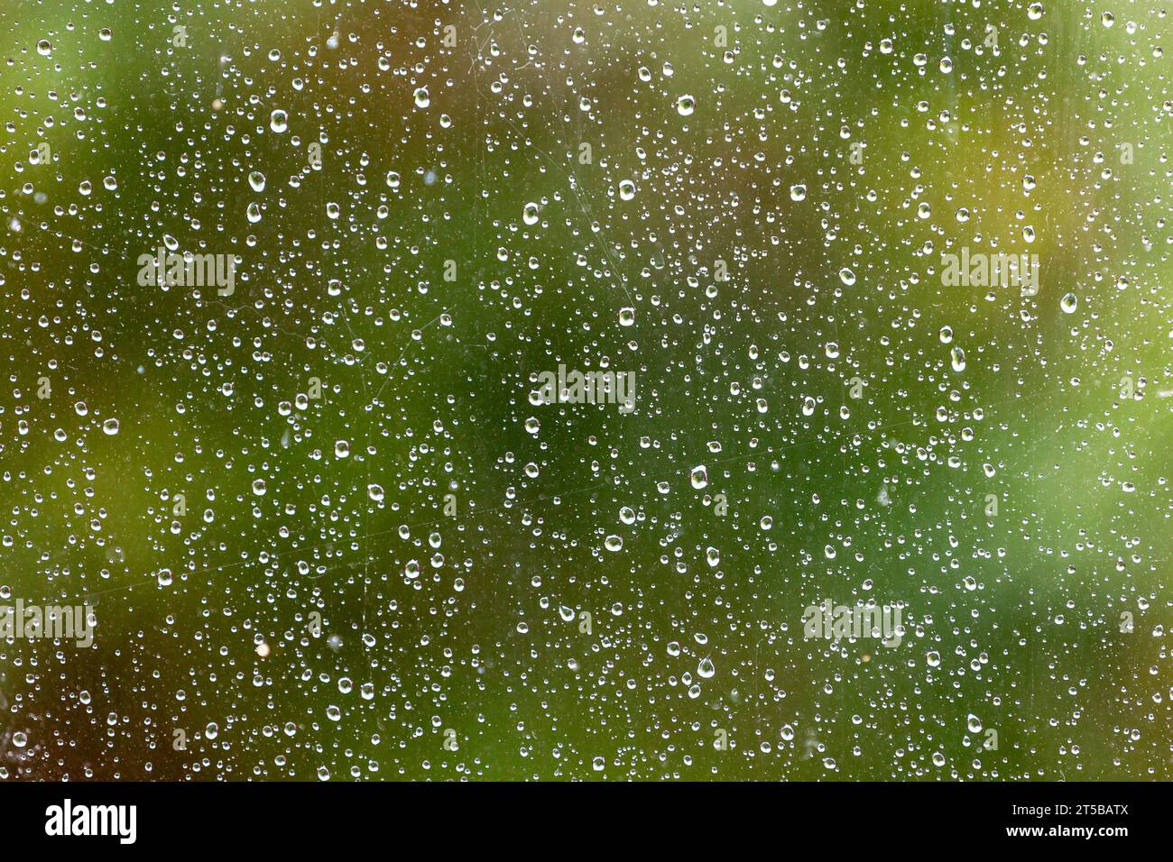 Rain drops on a window pane on a wet day in the UK Stock Photo - Alamy