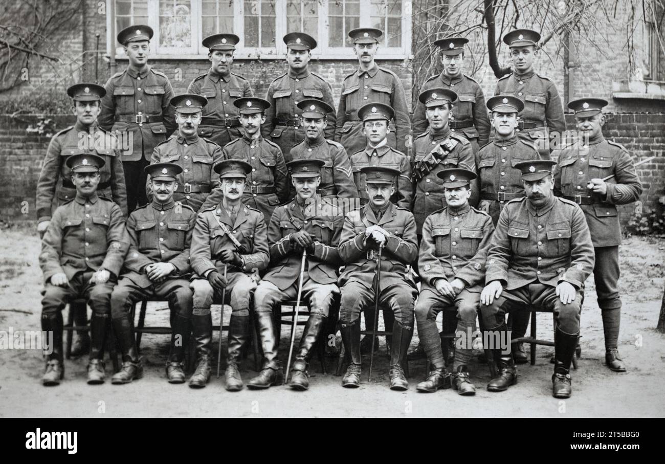 Officers and men in the Army Service Corps during the First World War Stock Photo - Alamy