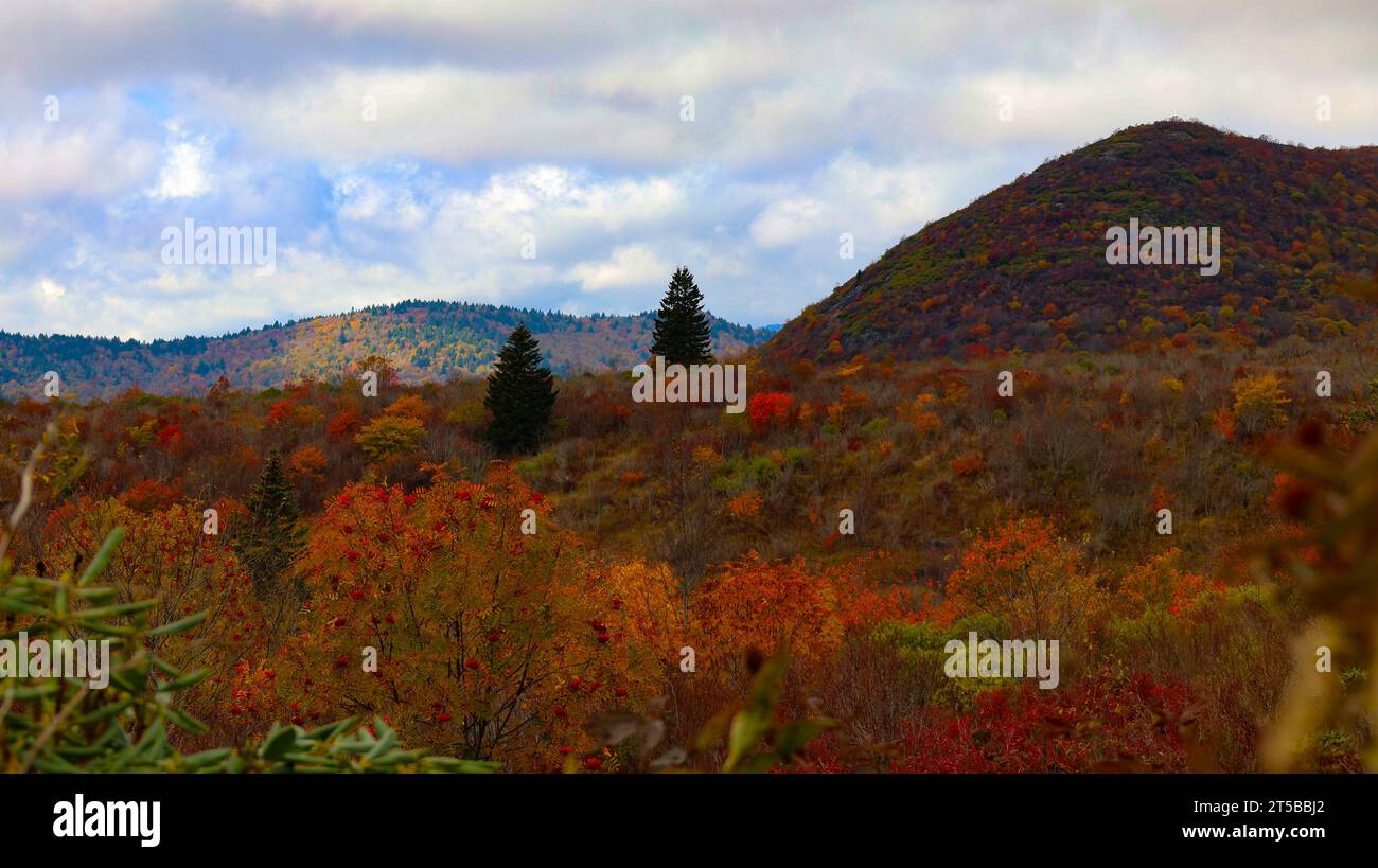 Fall in the Blue Ridge Mountains Stock Photo - Alamy