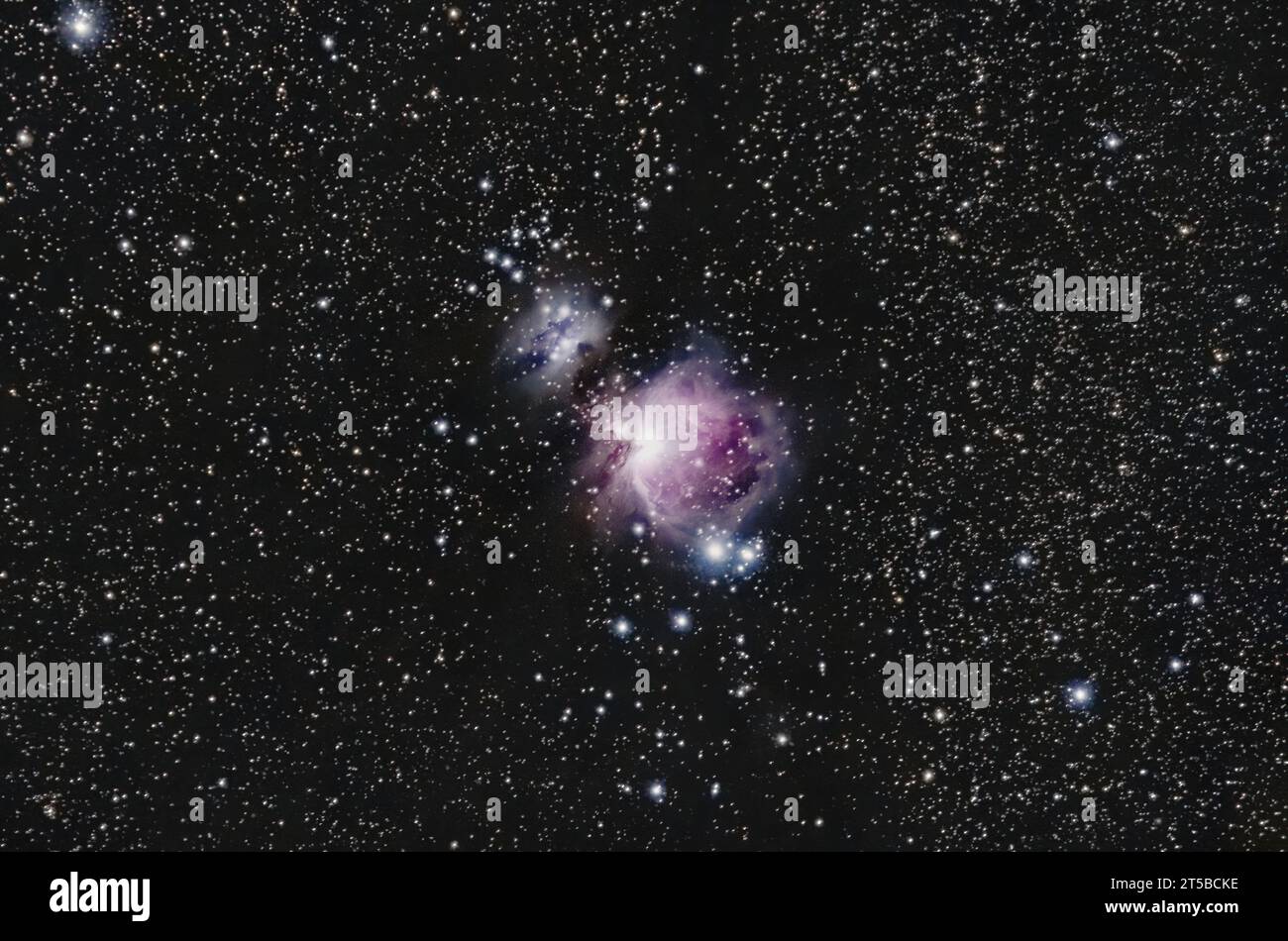 The Orion Nebula (Messier 42) (M42) - An amazing nebula in the constellation Orion with real ...