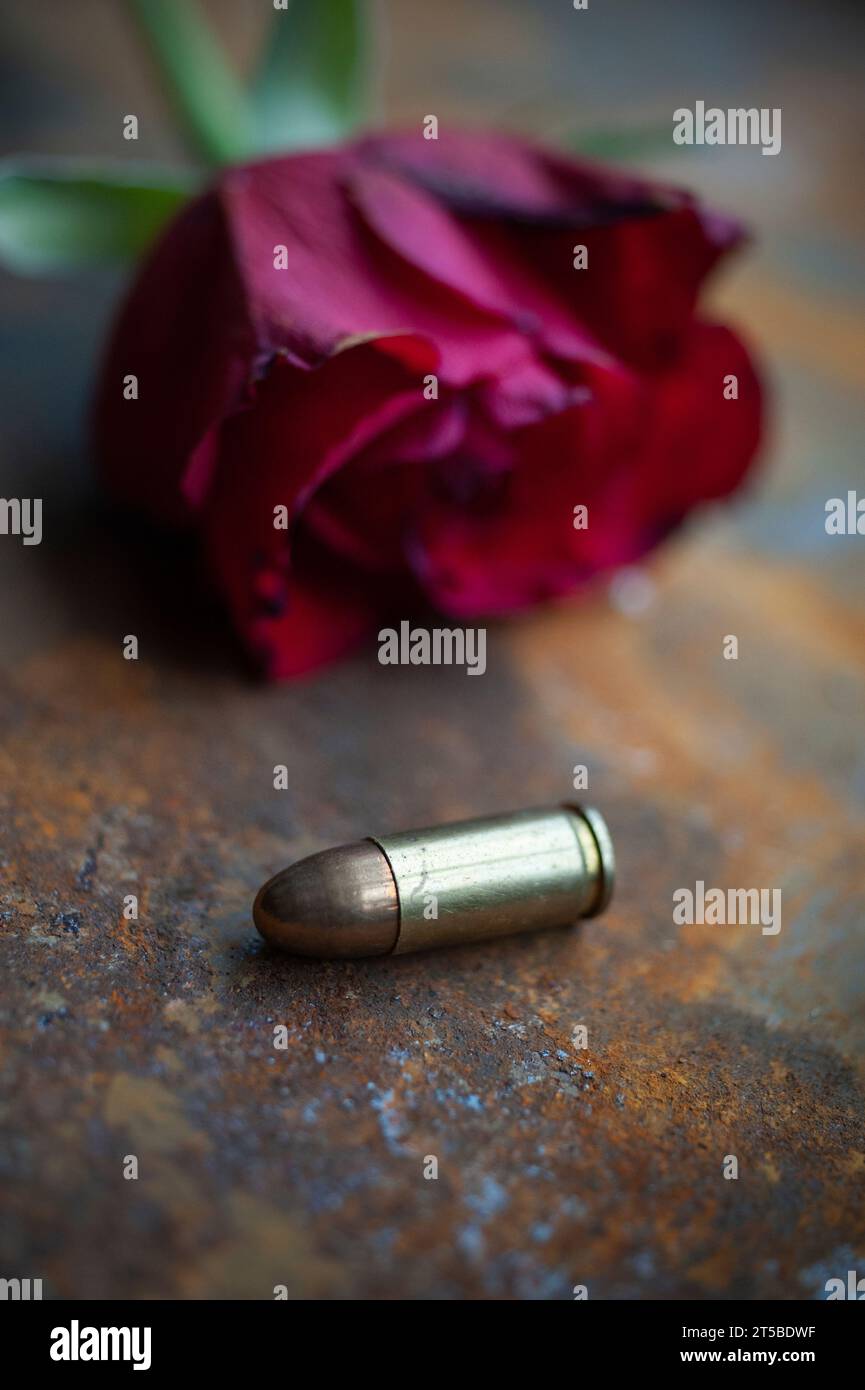 single red rose bloom and single 9mm cartridge Stock Photo - Alamy