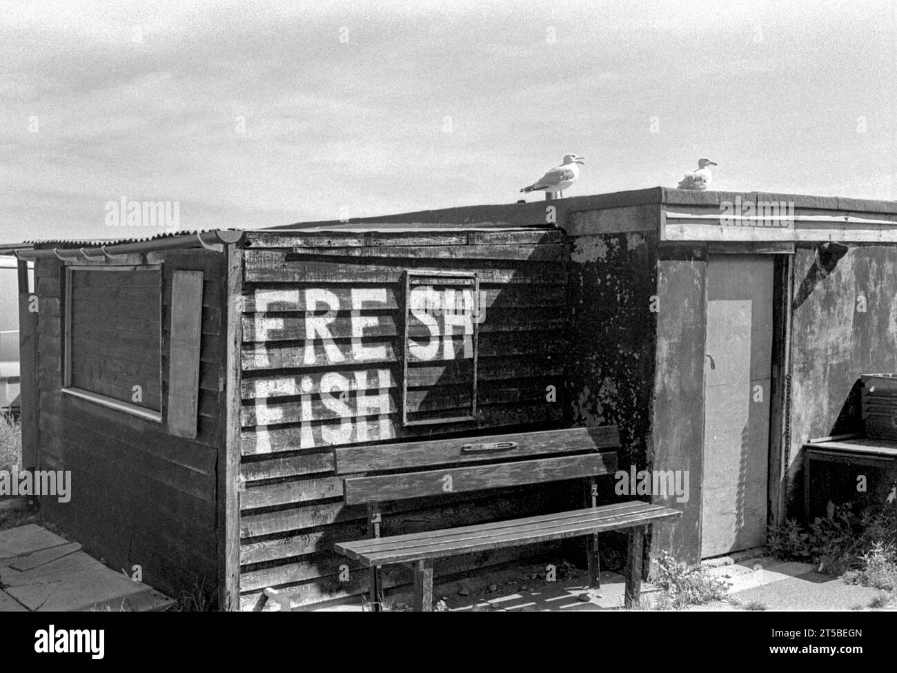 Fisherman hut shed Black and White Stock Photos & Images - Alamy